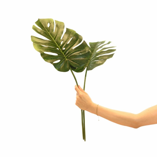 Hoja Monstera
