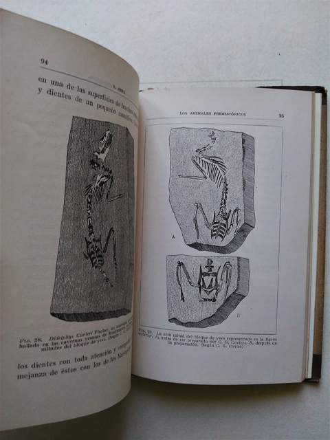 OTHENIO ABEL LOS ANIMALES PREHISTÓRICOS Ed. LABOR.