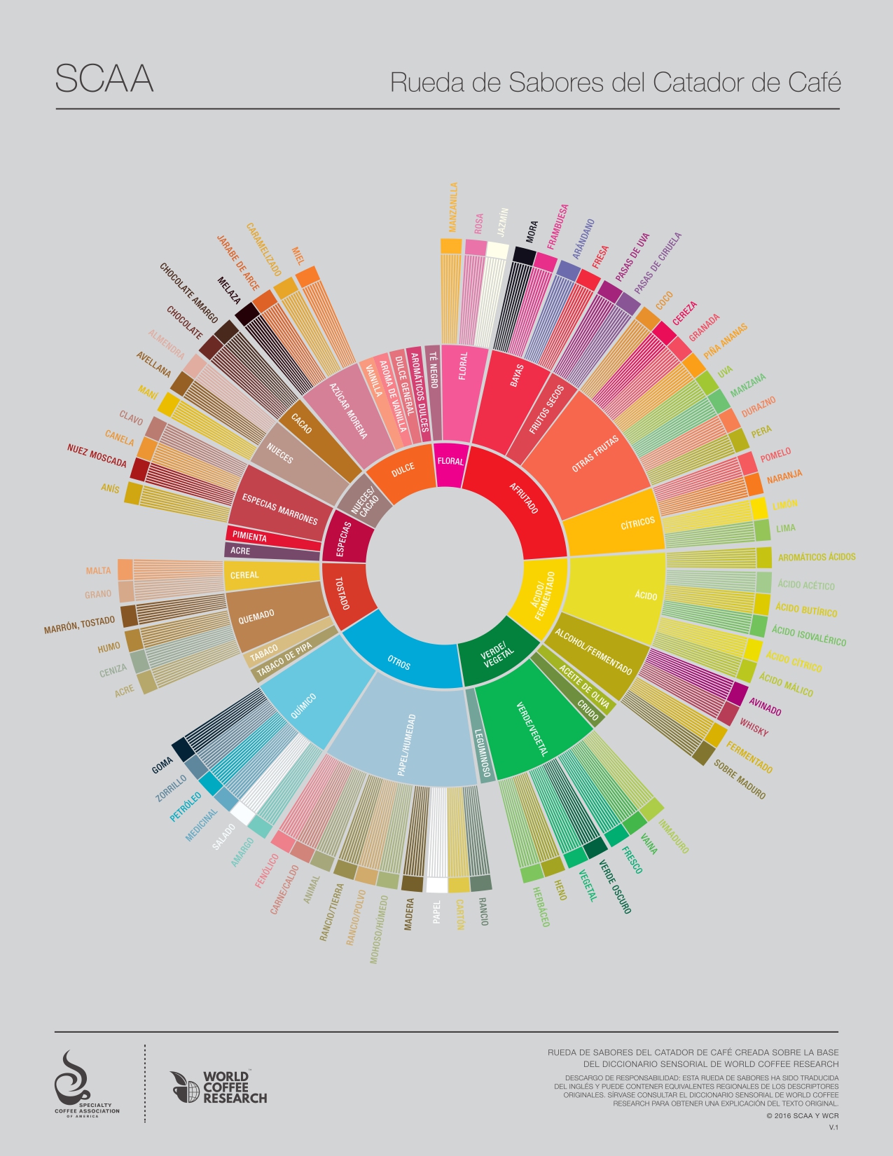 ¿Qué es la rueda de sabores del café?
