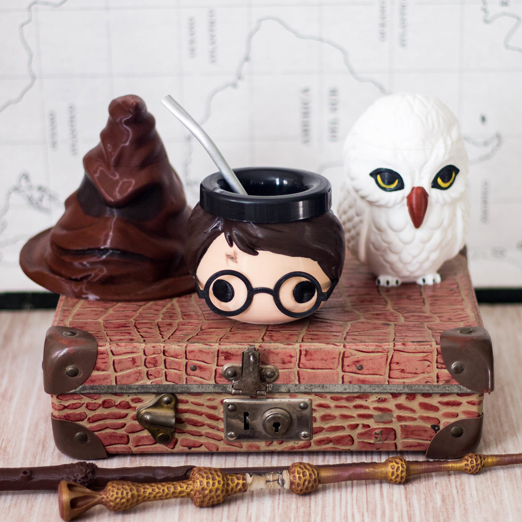 Set de mate Harry Potter - Comprar en Entropia