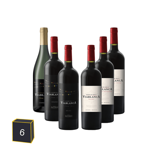 Bodega Iaccarini