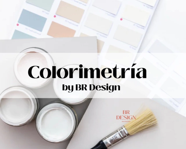 GUIA COLORIMETRIA - Comprar en BR DESIGN